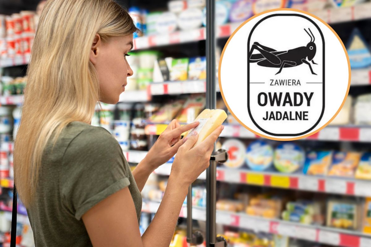 Żywność z owadami poznasz na pierwszy rzut oka. Będzie specjalne oznaczenie Żywność z owadami poznasz na pierwszy rzut oka. Będzie specjalne oznaczenie