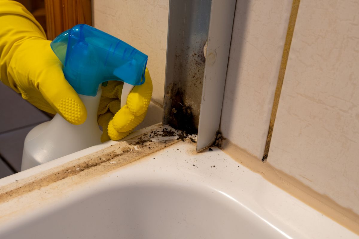 Banish bathroom mould: Simple solutions with household items