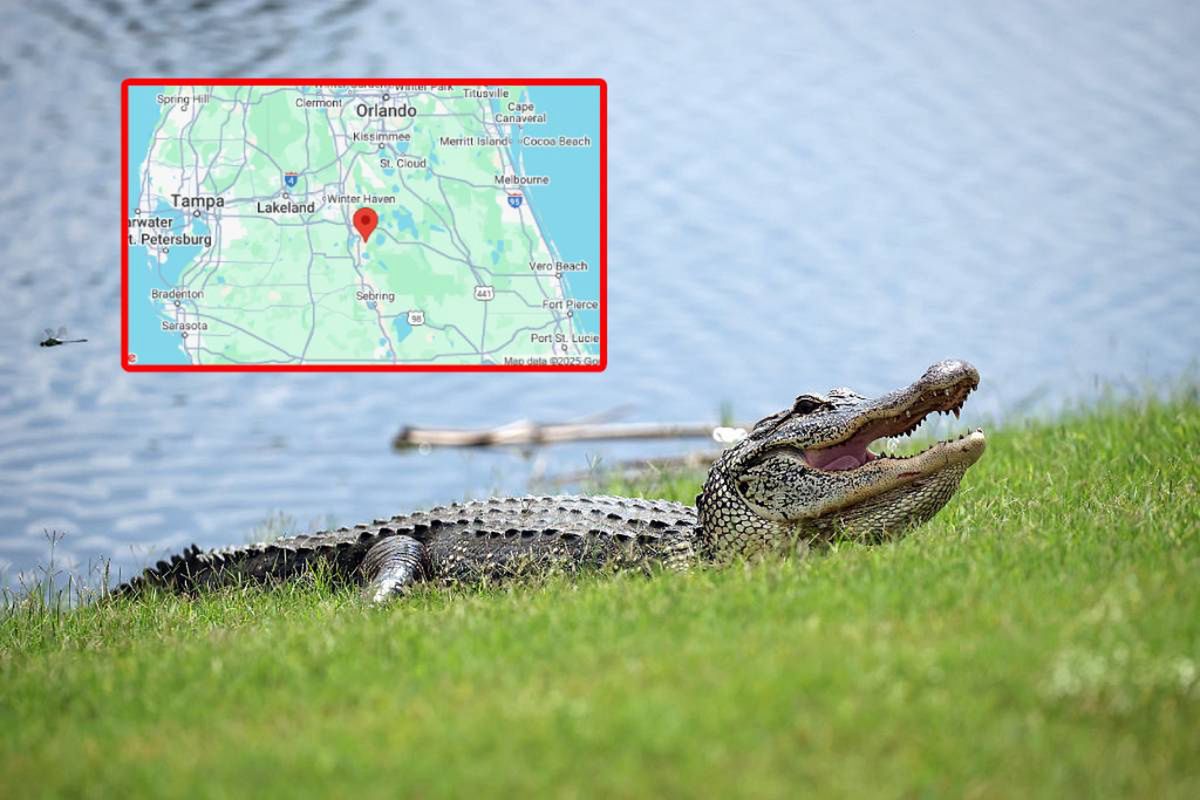 Florida kayaking tragedy: Woman killed in alligator attack