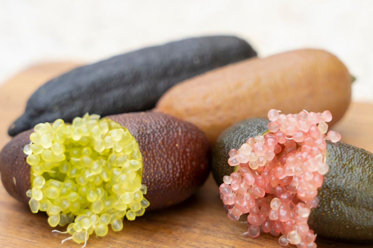 Caviar lime: The exotic fruit making waves in Canadian cuisine