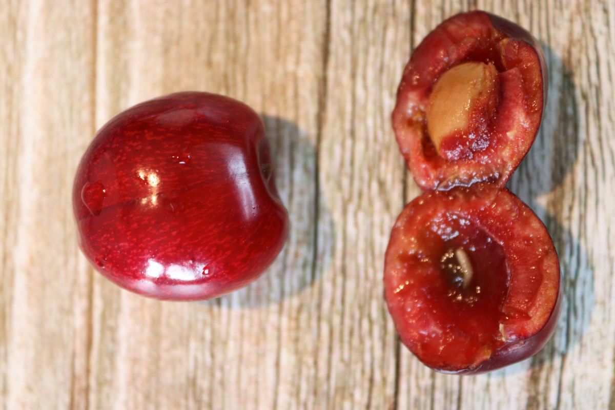 How to keep worms out of your cherries: Tips for shoppers