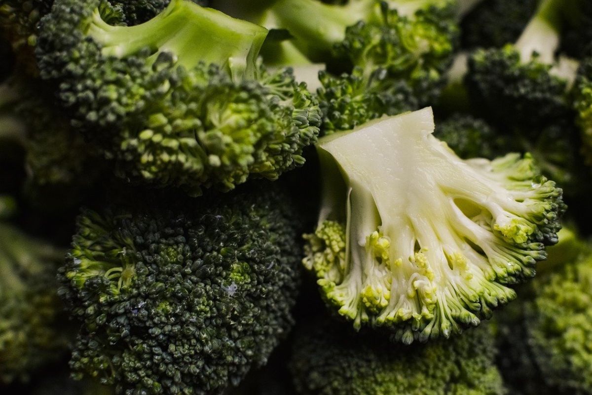 Broccoli: The low-cal powerhouse packed with nutrients