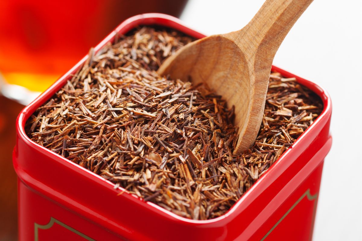 Why rooibos tea is the caffeine-free choice for your health