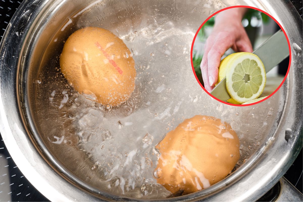 Biorę plasterek cytryny i wrzucam do gotujących się jajek. Działa za ...