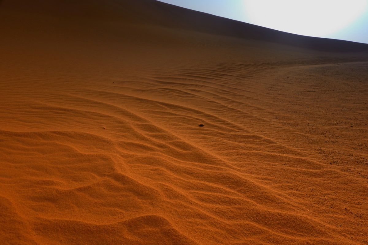 Sahara. Niesamowite odkrycie polskich naukowców Sahara. Niesamowite odkrycie polskich naukowców