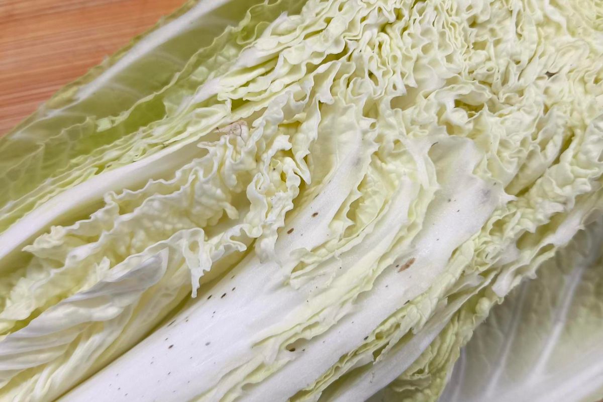 Black spots on napa cabbage: Harmless marks or health risk?