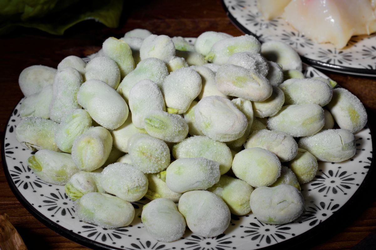 Freeze your feast: Ultimate guide to preserving fava beans