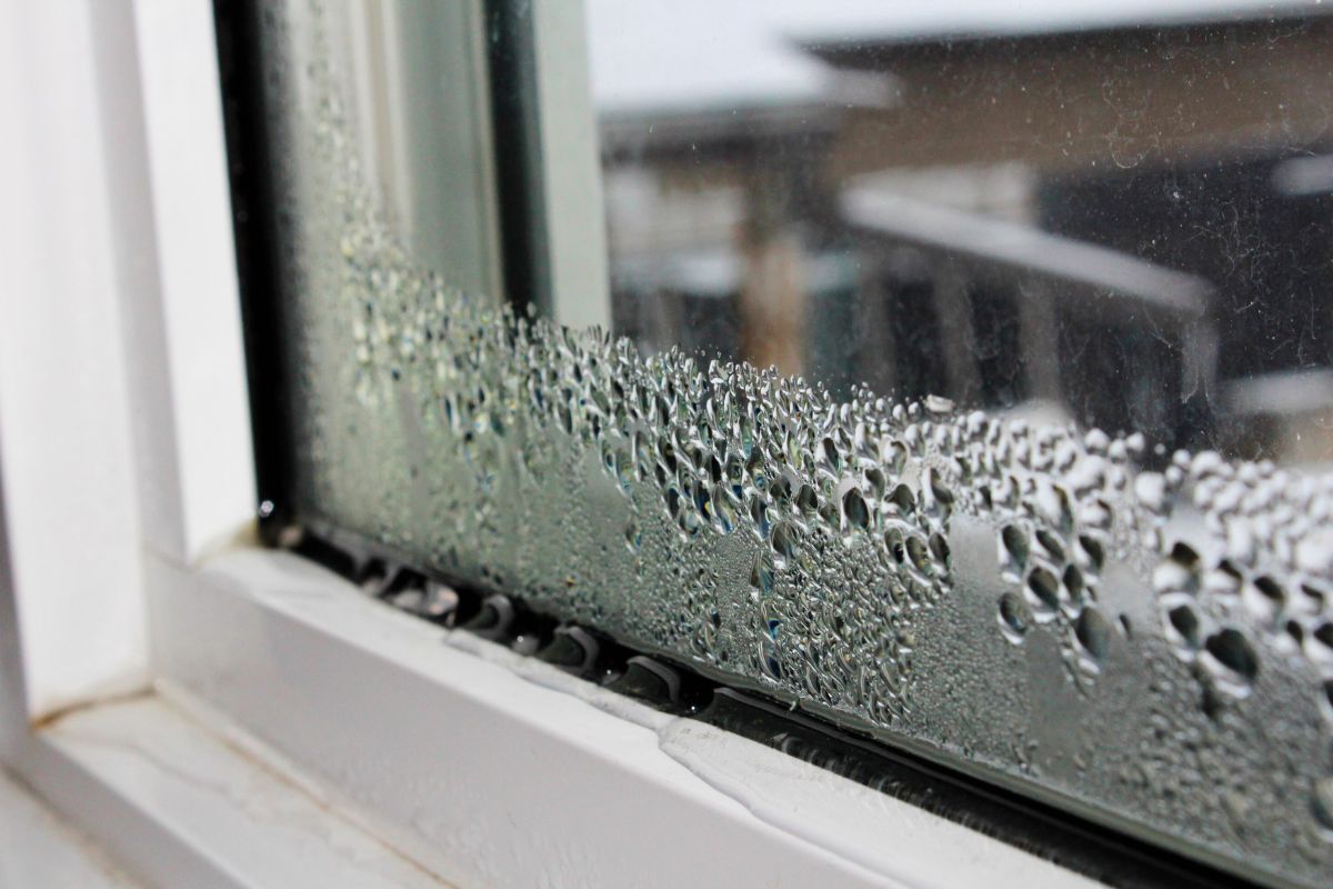 Citrus and vinegar: Natural remedies to banish damp windows