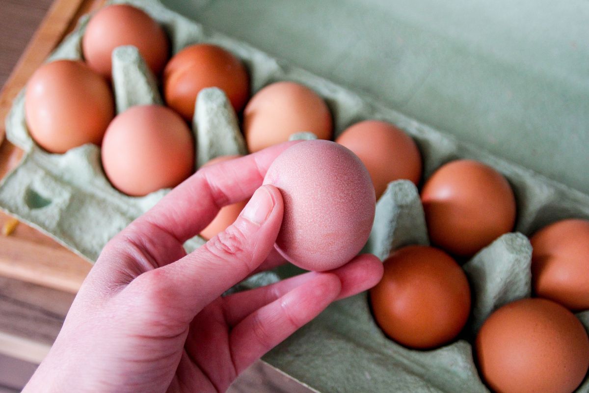 Jak sprawdzić świeżość jajek? "Test wodny" niezawodny