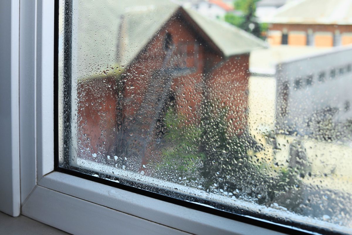 How to combat high humidity and menacing mold growth in your apartment ...