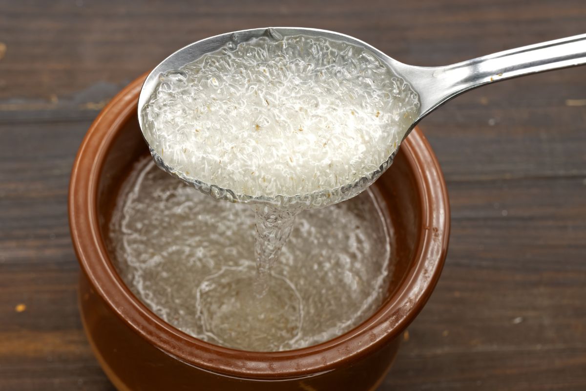 Unlocking The Benefits Psyllium Seeds And Digestive Wellness