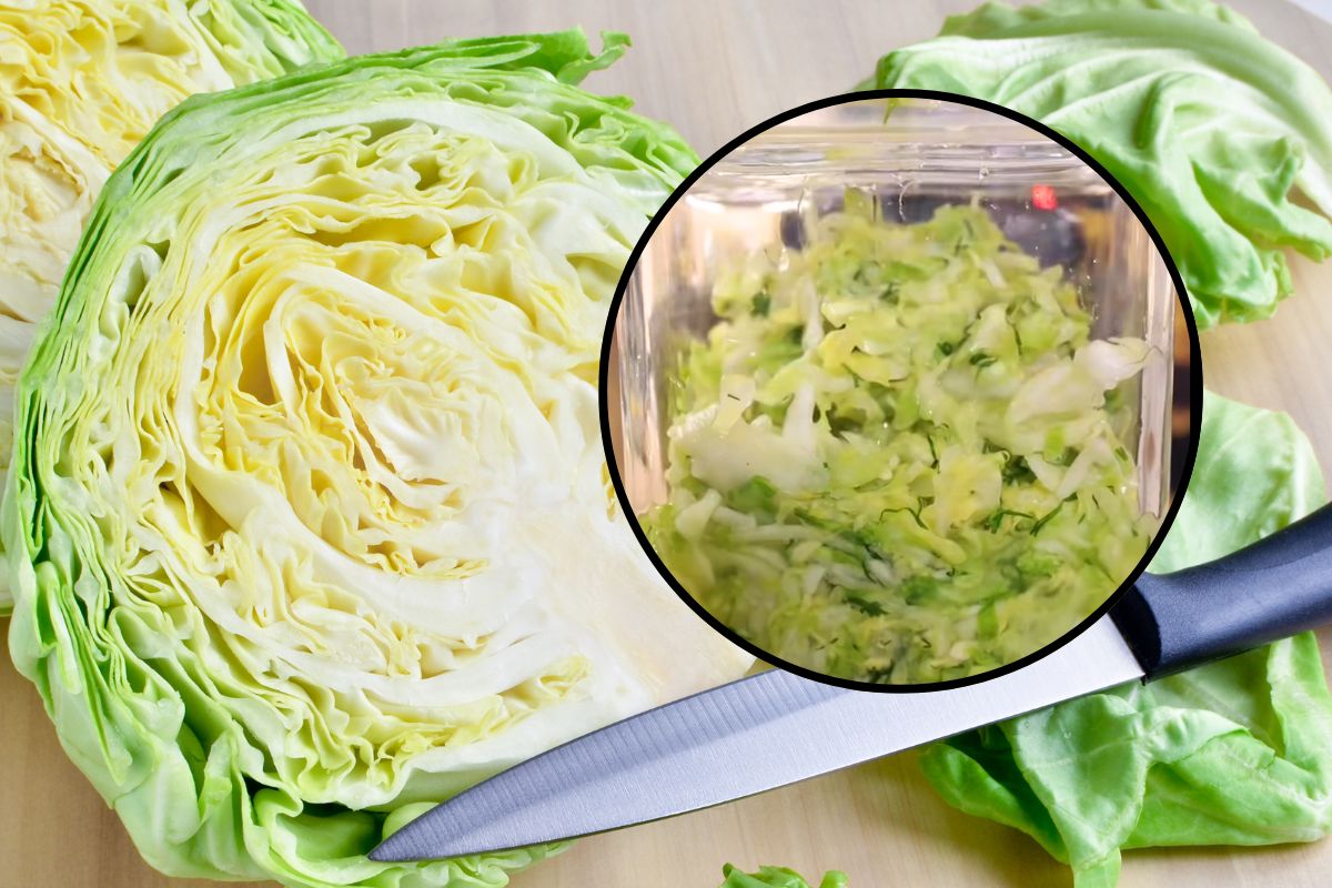 Fermentation tips: Enjoy homemade cabbage in just 3 days