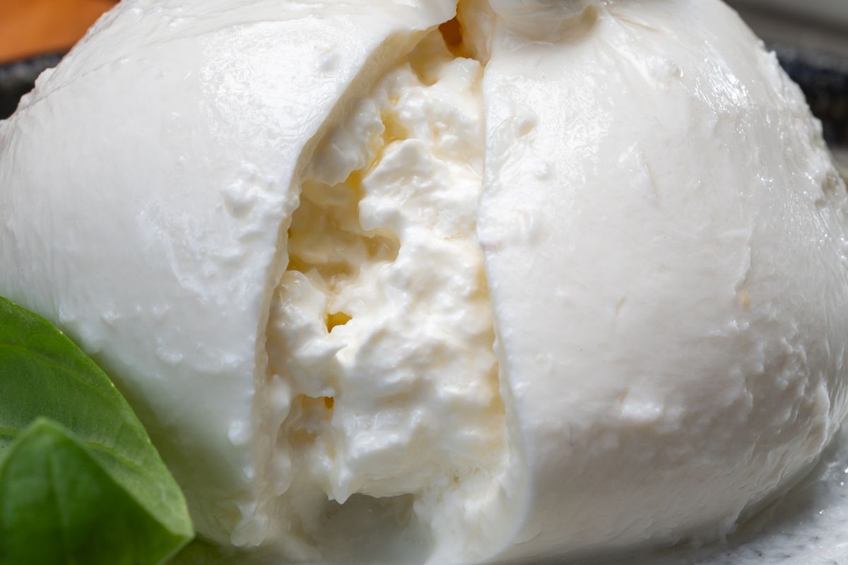 A tale of two cheeses: Mozzarella's classic charm vs. burrata's luxury
