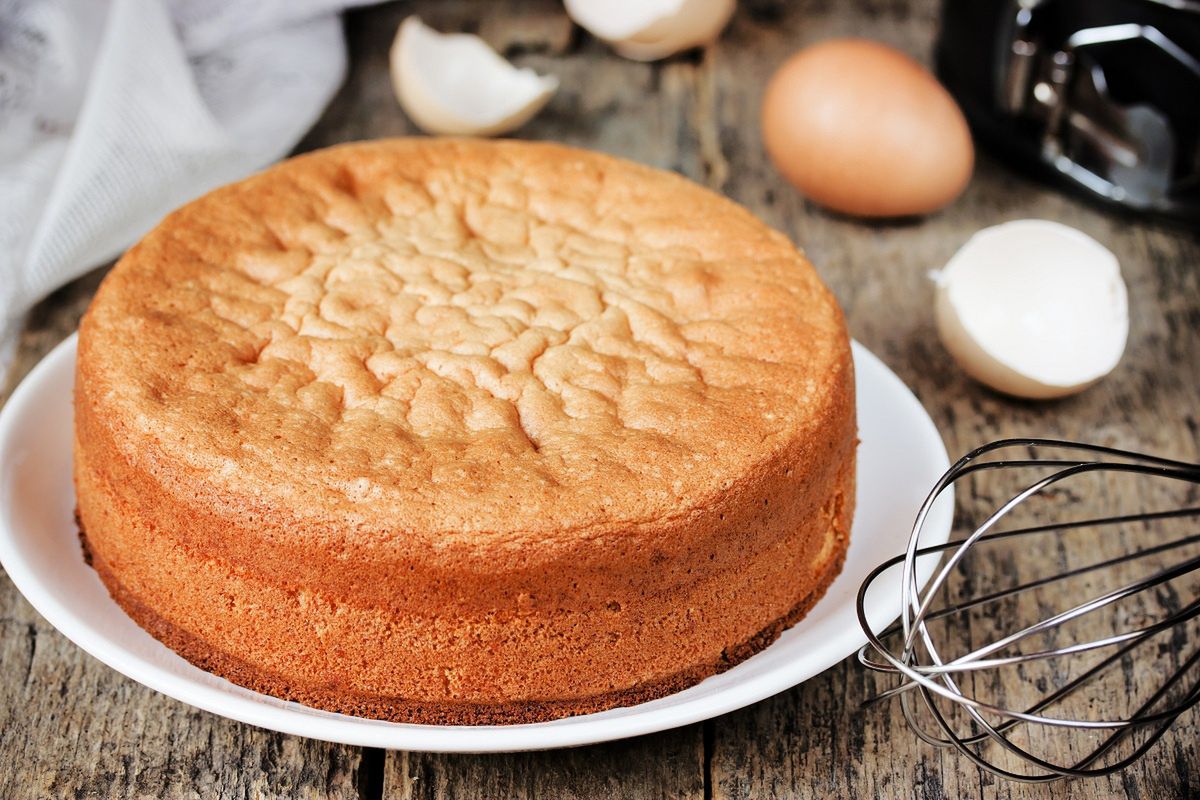 Pudding sponge cake: A foolproof treat for every occasion