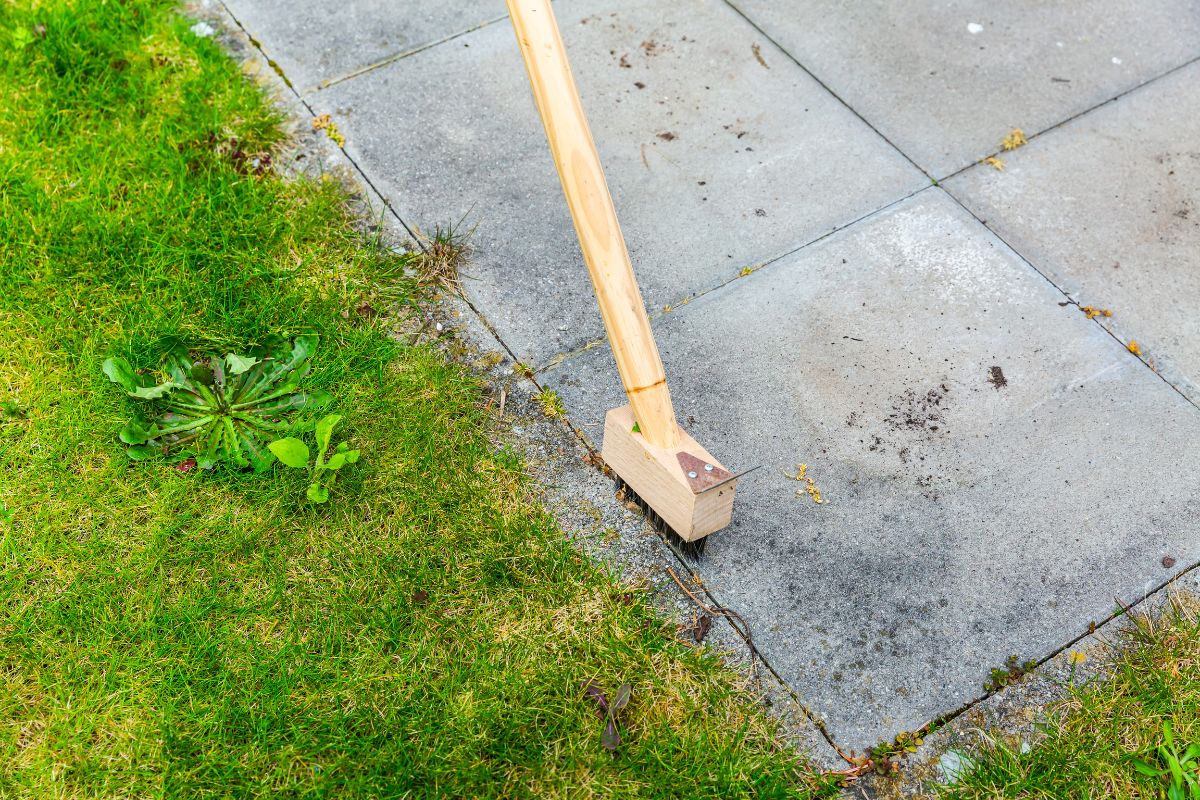 Beat patio weeds with this simple 3-ingredient mix