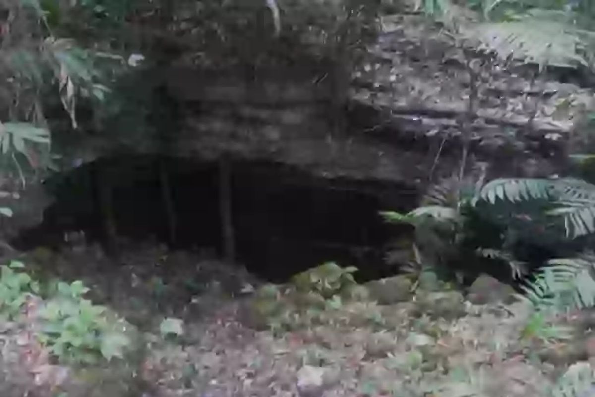 Maya's 'Cave of Blood': Uncovering ancient ritual sacrifices