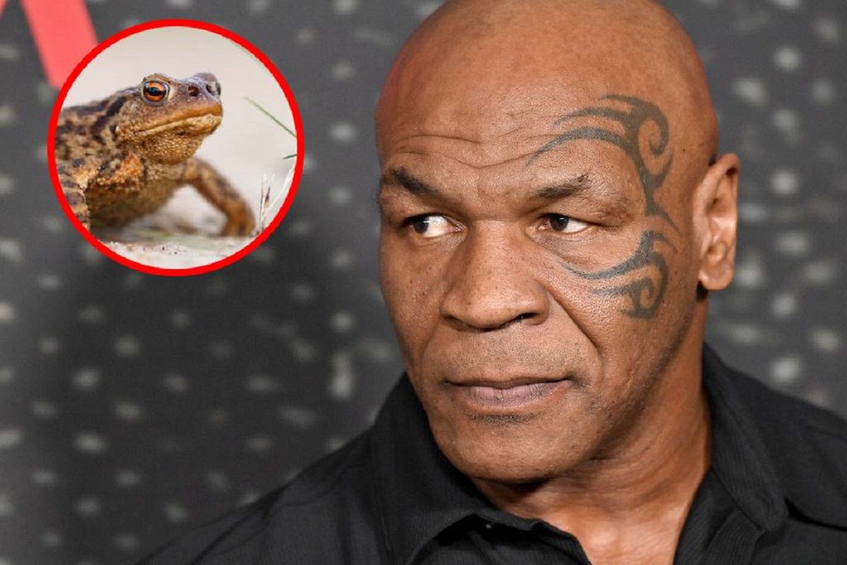 Mike Tyson faces Jake Paul: A comeback filled with surprises Mike Tyson faces Jake Paul: A comeback filled with surprises