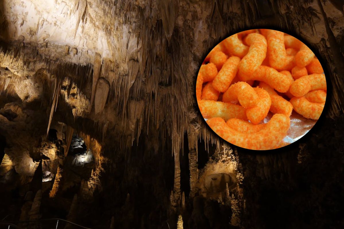 Cheetos threaten delicate balance in Carlsbad Caverns' cave ecosystem