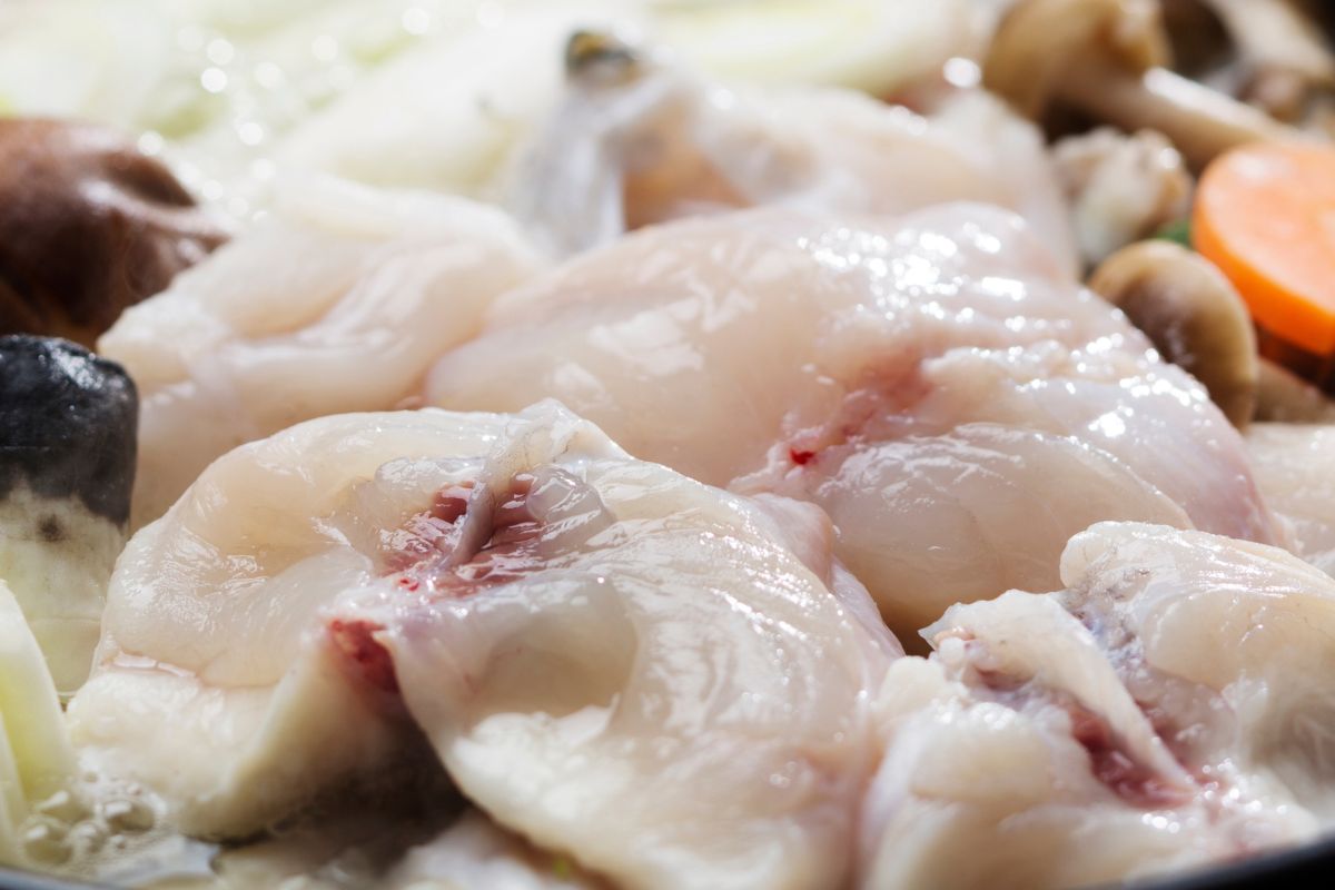 Fugu: The deadly delicacy that defies culinary caution