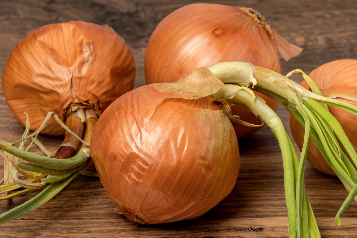 Beware rotten onions: The hidden dangers lurking in your kitchen
