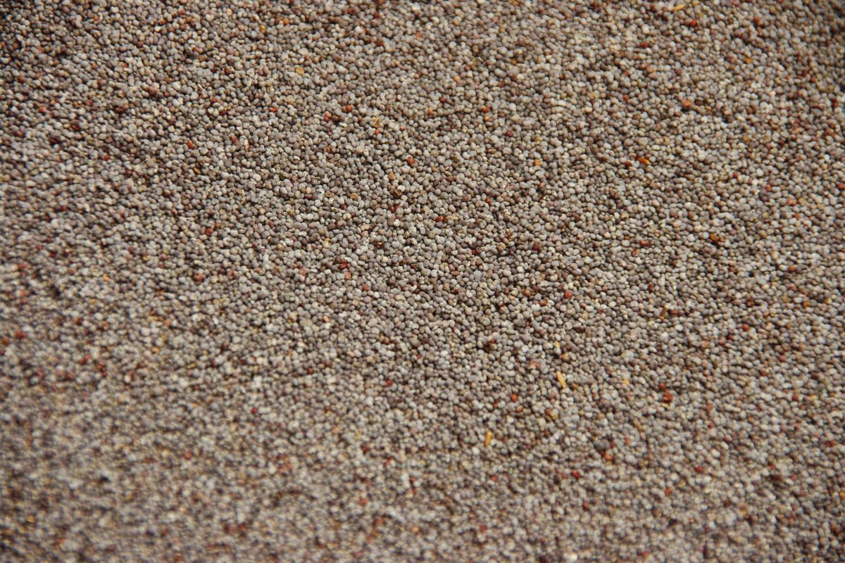 These small seeds boost metabolism and aid digestion