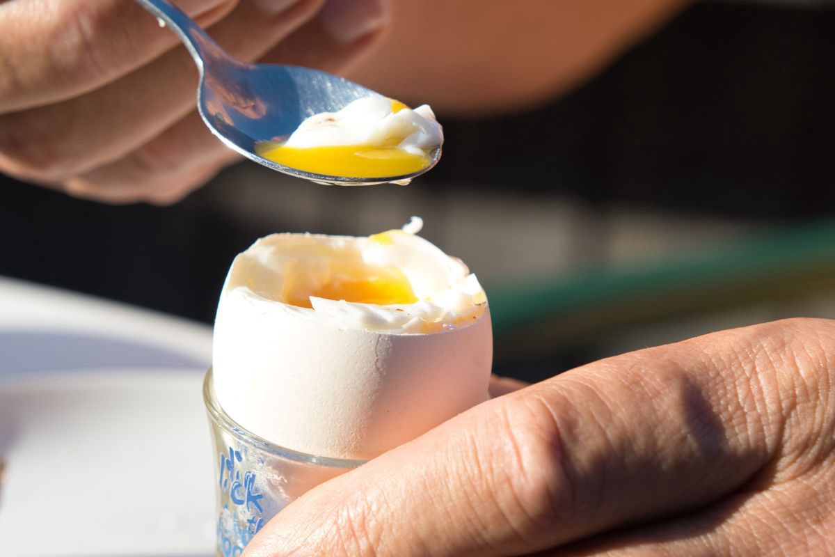 Egg-cellent choice: Why you should embrace eggs for health
