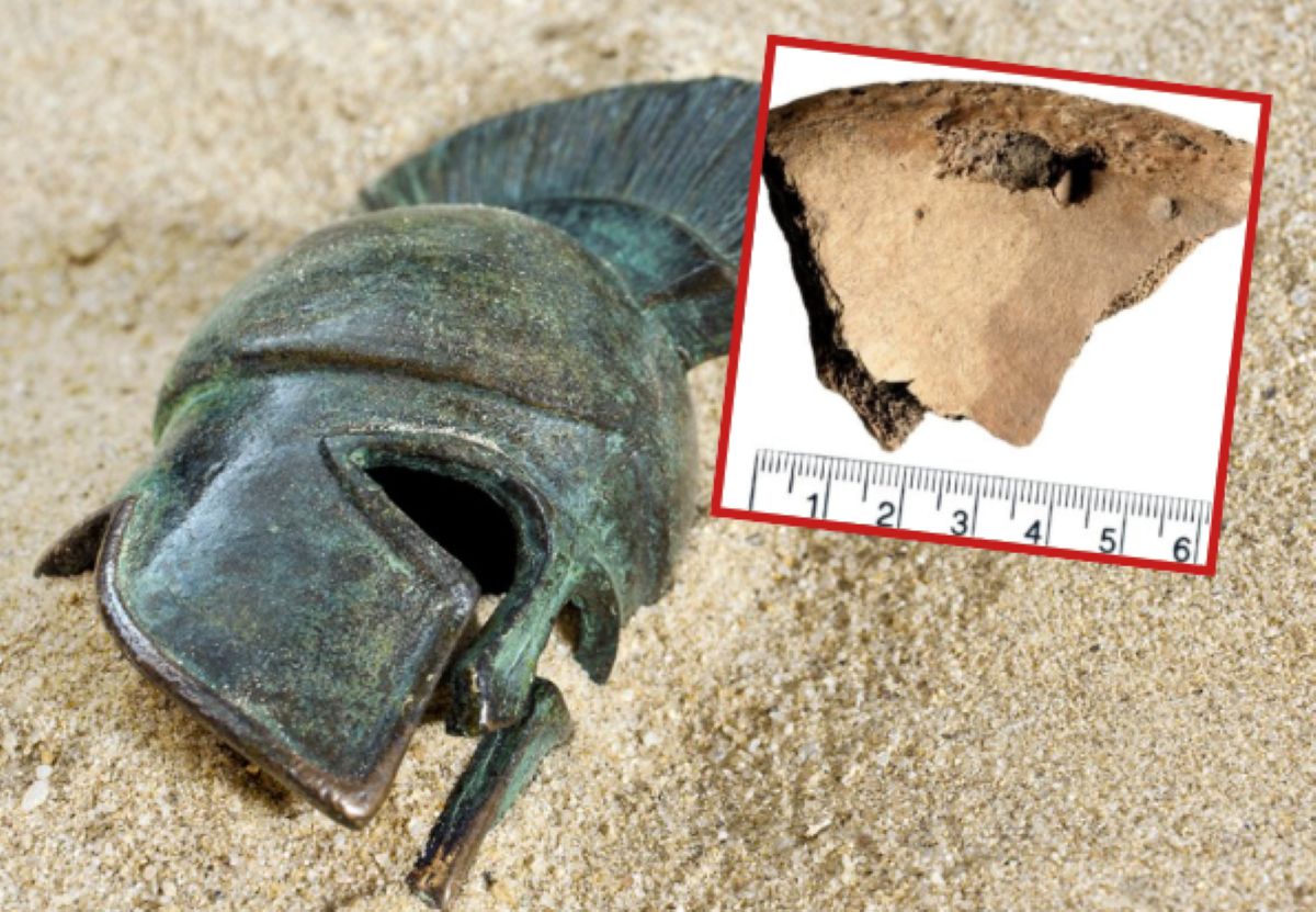 Roman gladiator skeleton reveals evidence of big cat battles