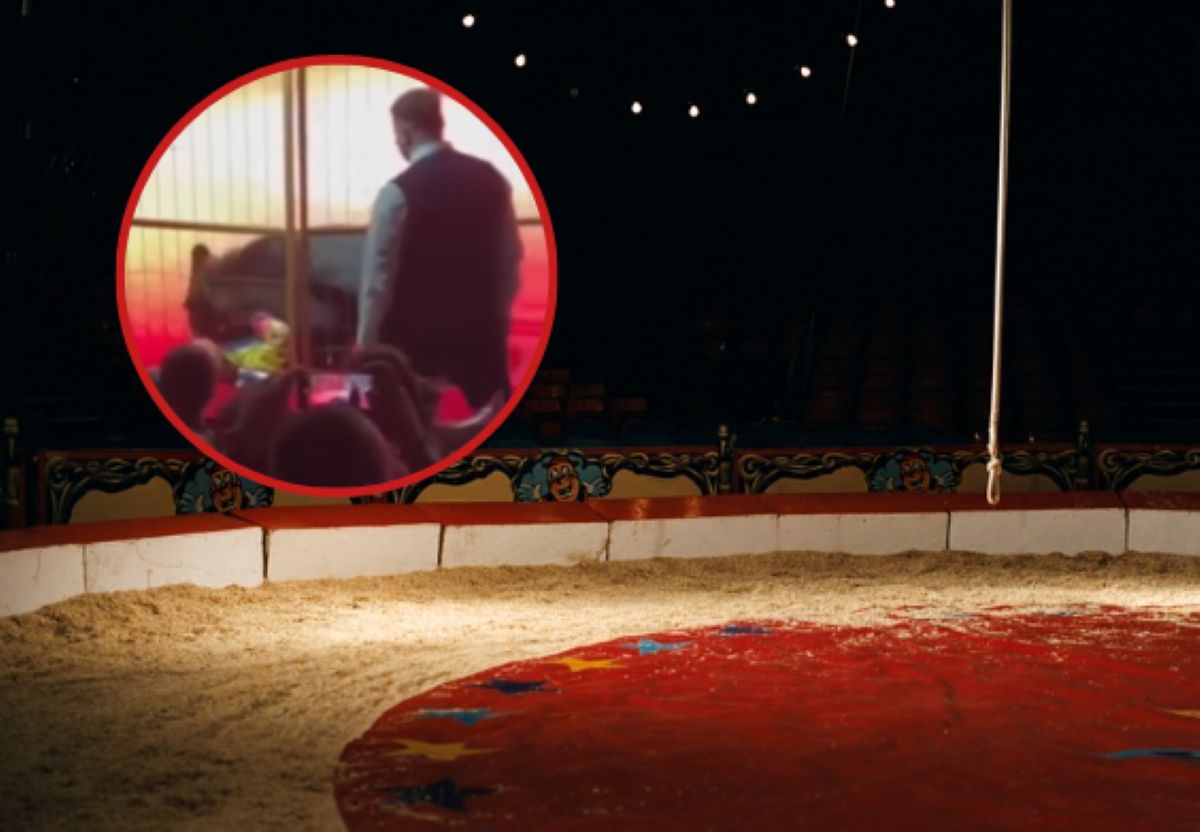 Bear attack at Russian circus leaves audience in shock