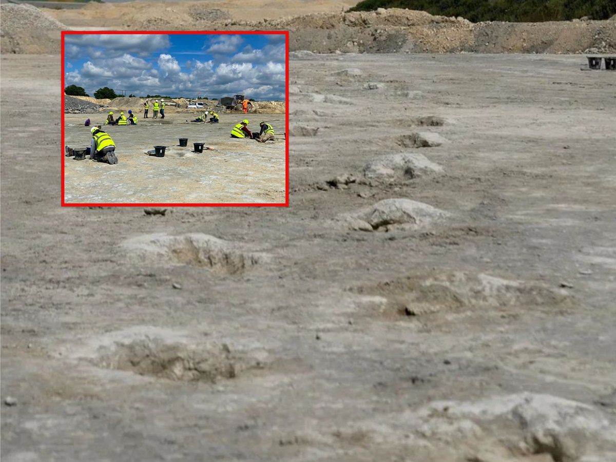 Unearthed ancient footsteps: UK's largest dinosaur trackway found