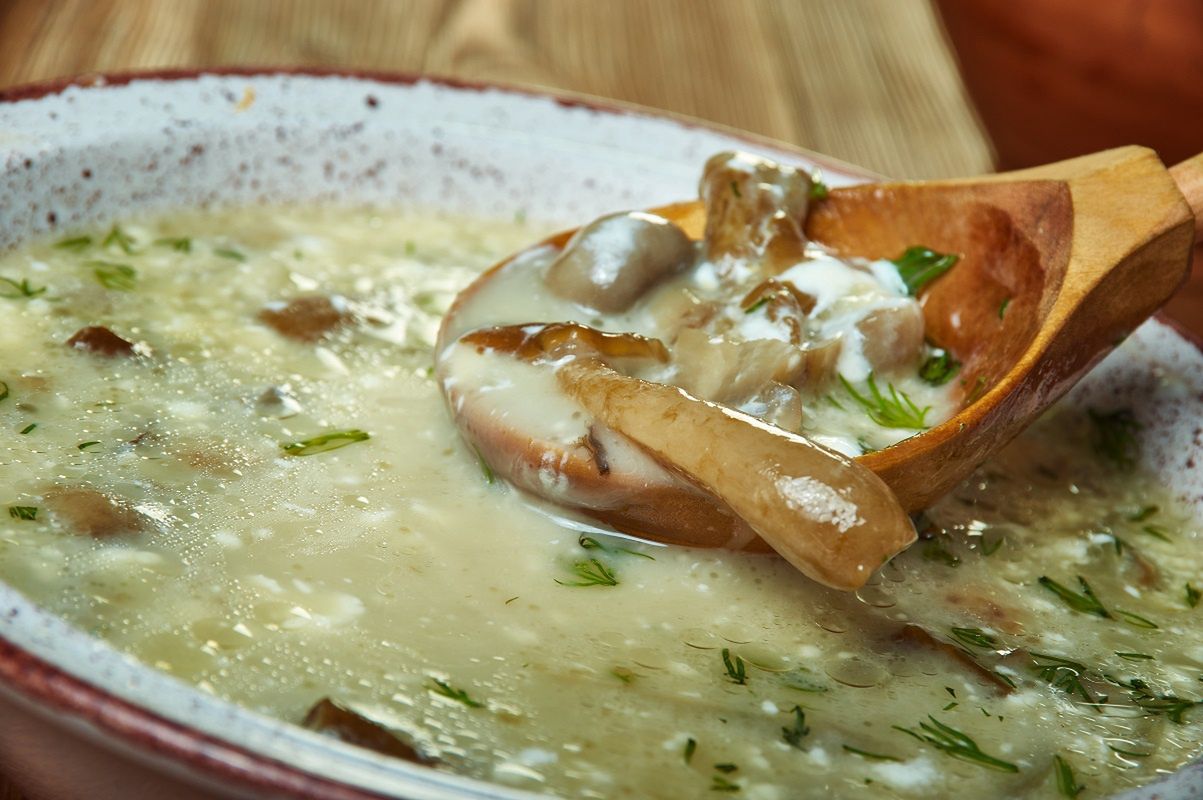 The ultimate guide to perfecting mushroom soup The ultimate guide to perfecting mushroom soup