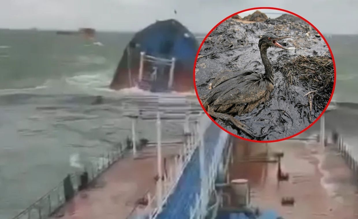 Russian oil spill disaster in Kerch Strait nears $1 billion loss