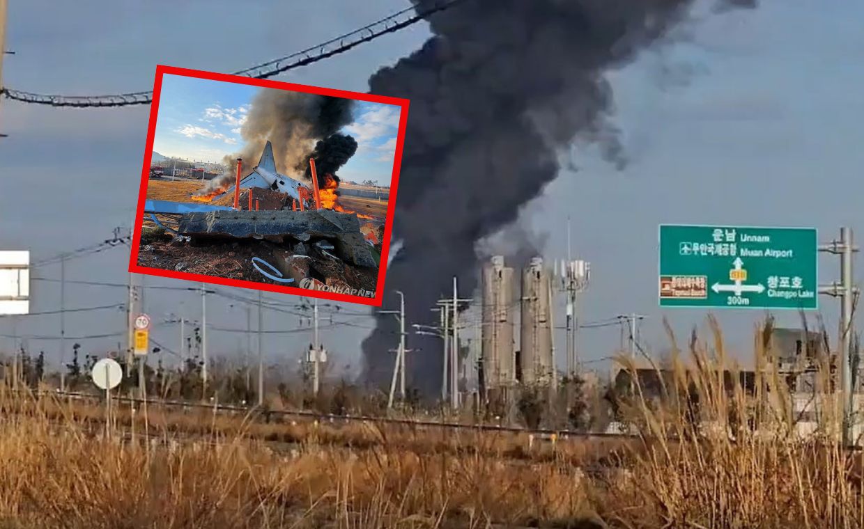 Deadly runway disaster: Bird strike blamed for Korea plane crash