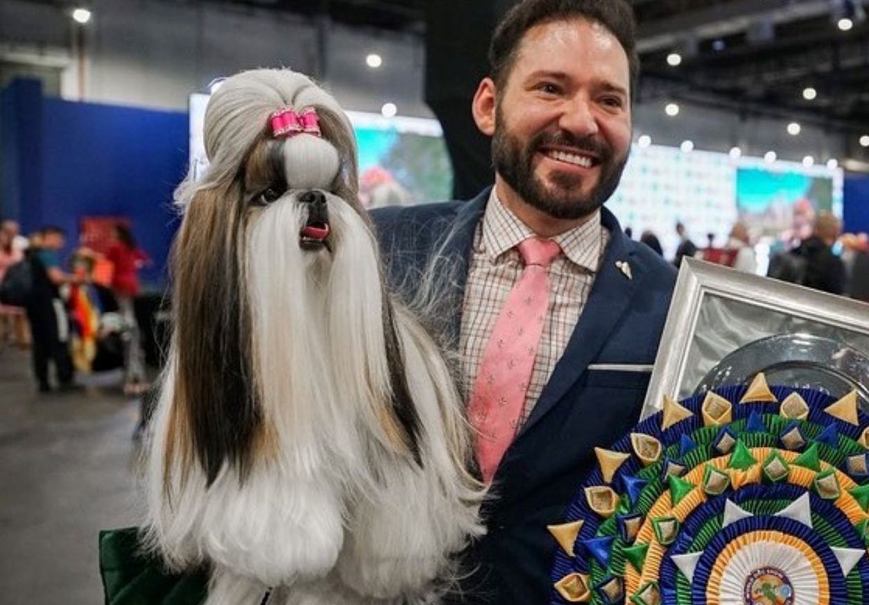 Wybrano najpiękniejszego psa świata. Jedna cecha tej rasy przeraża