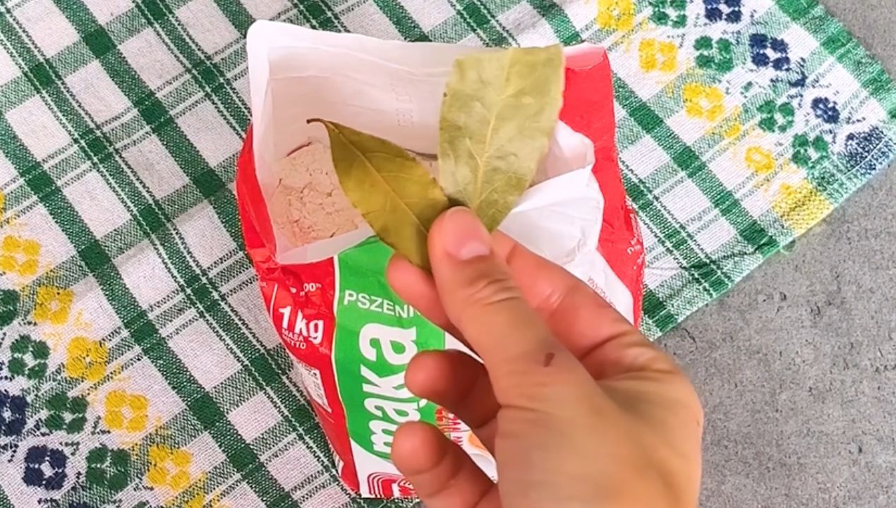 Pantry moth invasion: How a simple homemade method with bay leaves ...