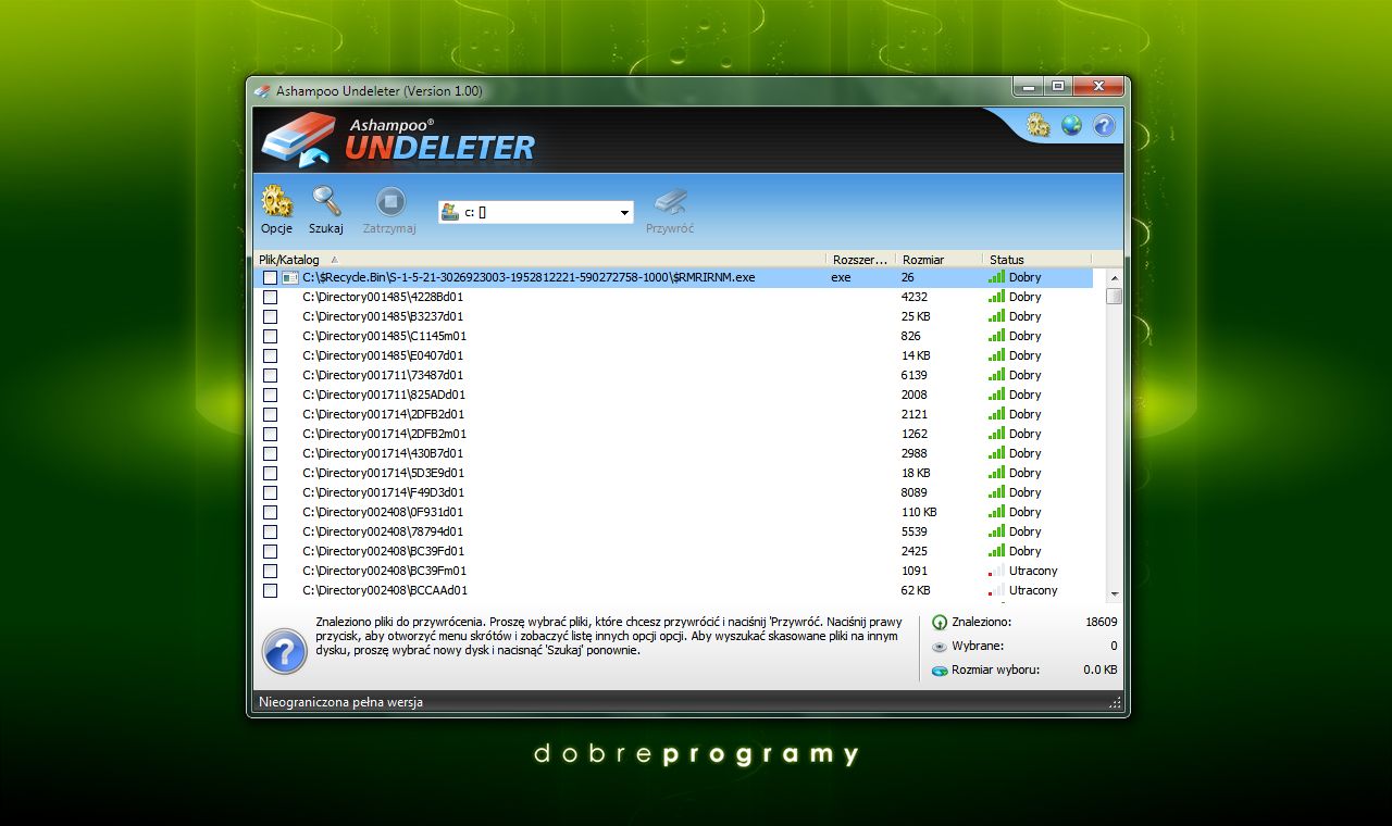 Ashampoo Undeleter 1.11 - dobreprogramy