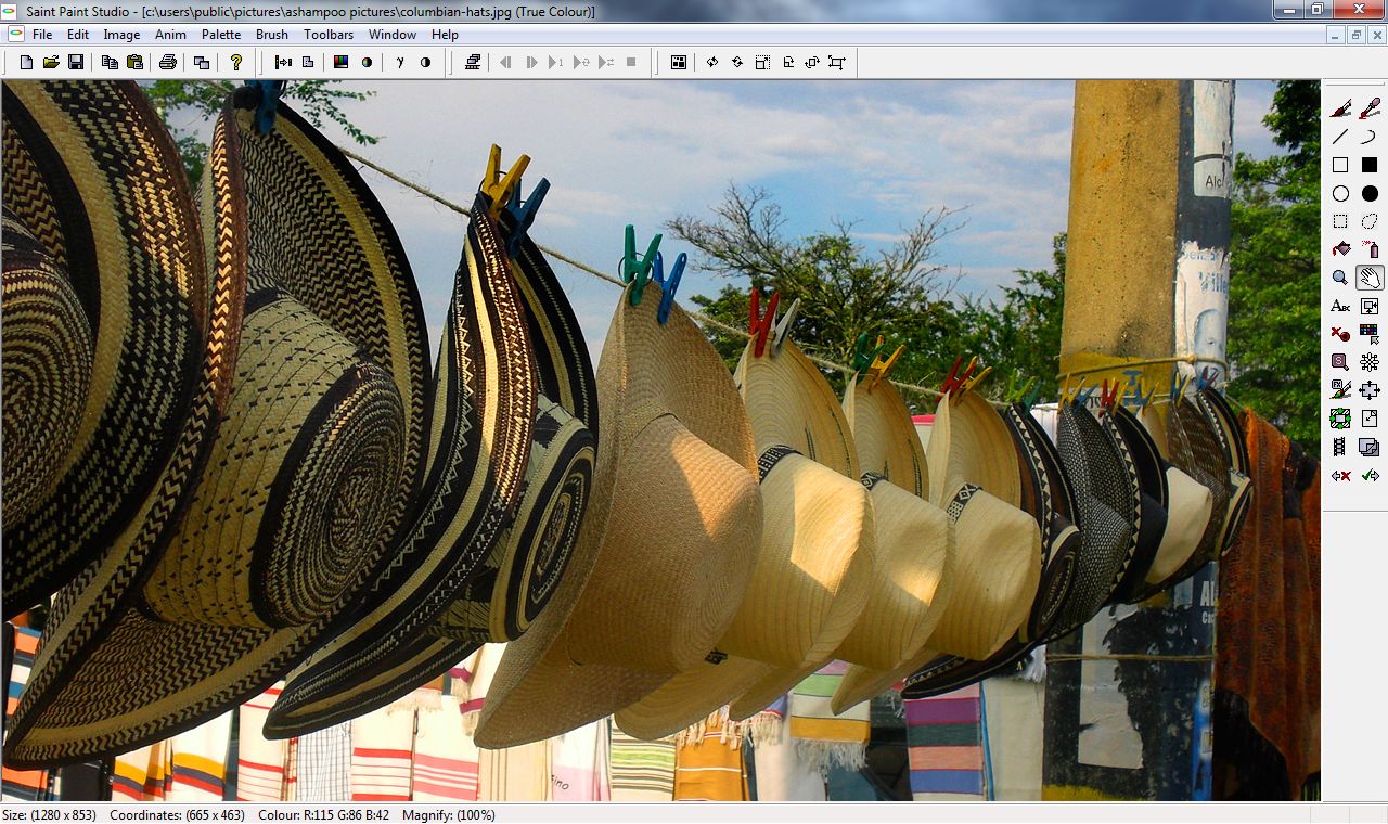 Saint Paint Studio 18.1 - dobreprogramy