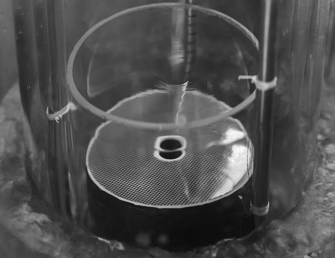 Scientists mimic black hole environments in groundbreaking quantum ...