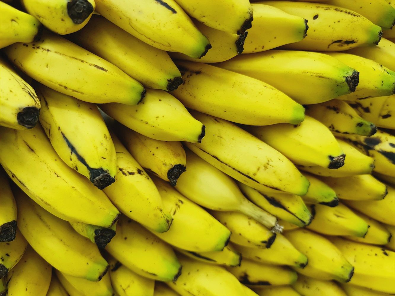 Unsafe banana consumption. Revealing the hidden risks of the microspore ...