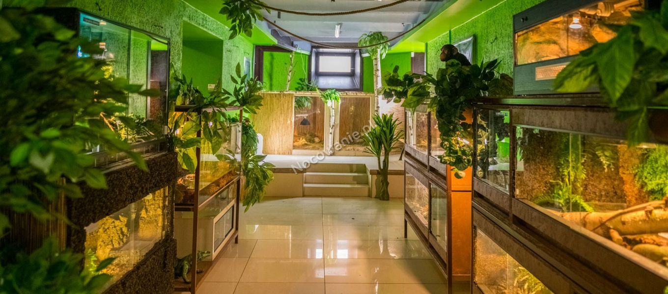 Reptarium - zwierzęta egzotyczne i gady w Zakopanem Zakopane: cennik ...