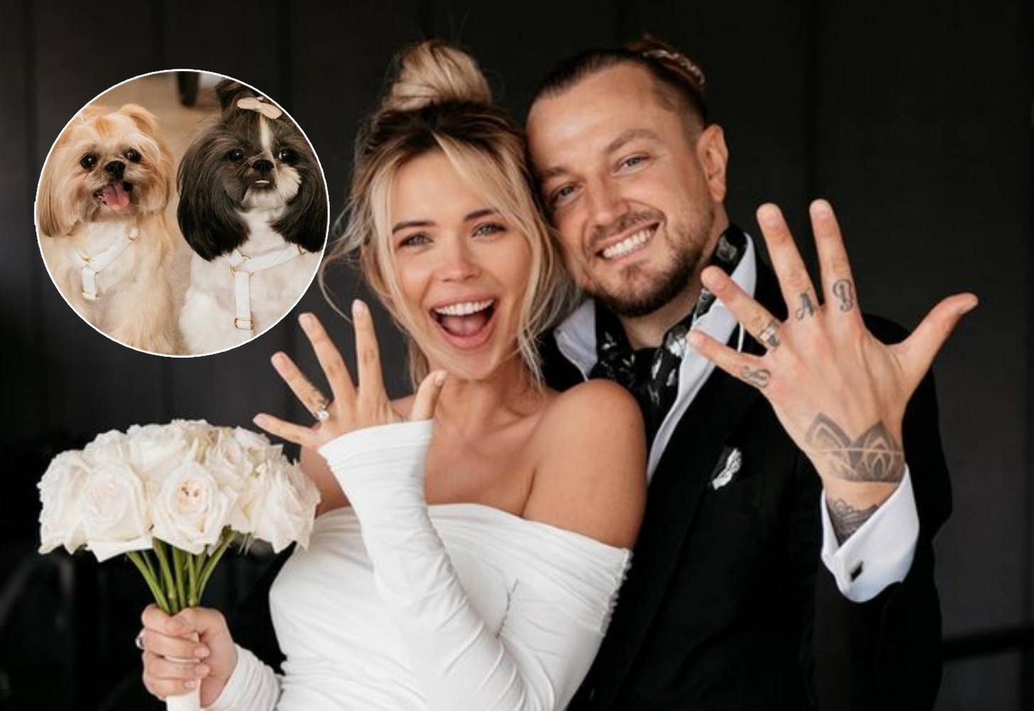 Ślub Kubickiej i Barona: Nie tylko oni wyglądali wyjątkowo. Psy także ...