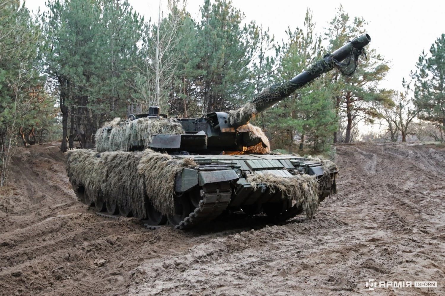Ukraine's Leopard tanks: Powerful allies with unique camo