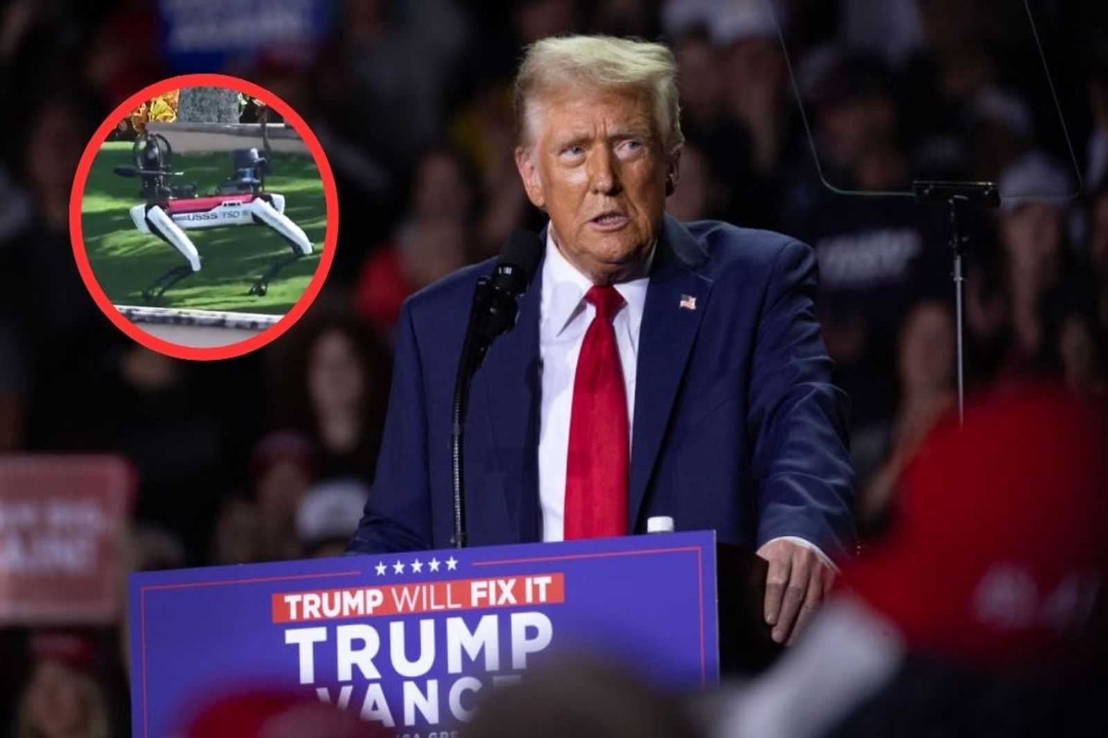 Spotting security: Robotic dogs patrol Trump's Mar-a-Lago estate