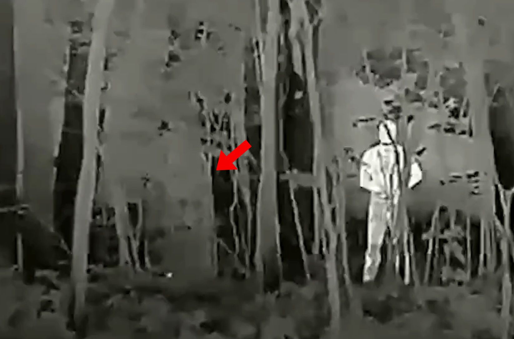 Vanishing from sight: Russia's 'Invisible Cloak' and the Competing ...