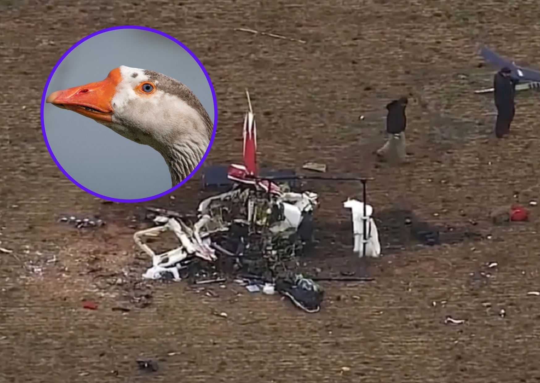 Dead goose found in crashed medical helicopter's system in Oklahoma ...