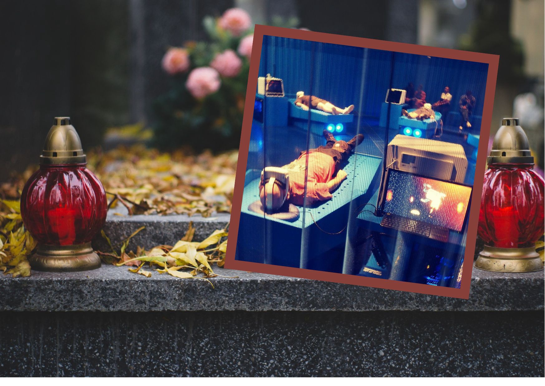 Australian artist's immersive 'death simulator' experience stirs up ...