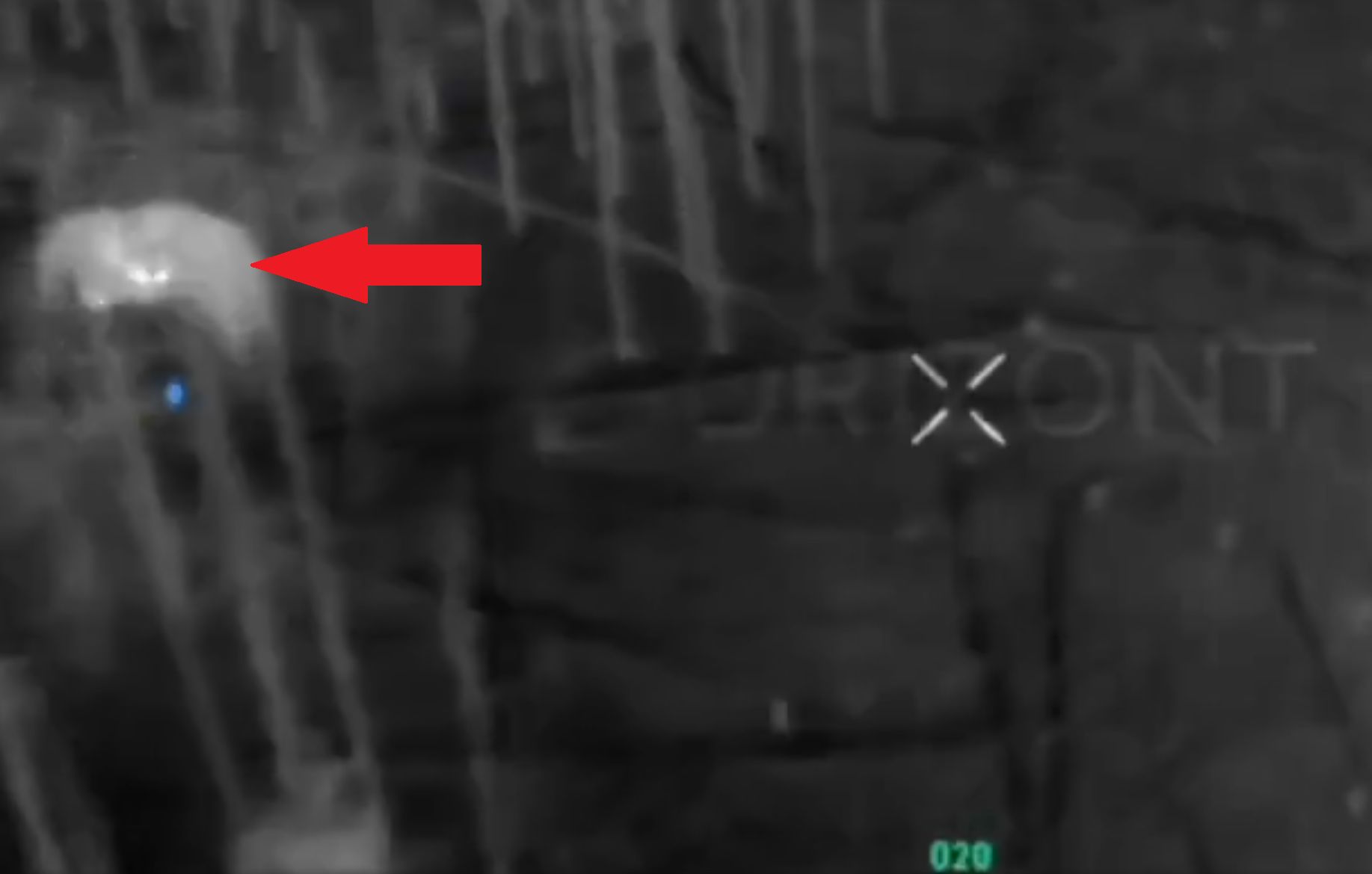 Owl takes down Russian drone: The unorthodox battlefield of Ukraine