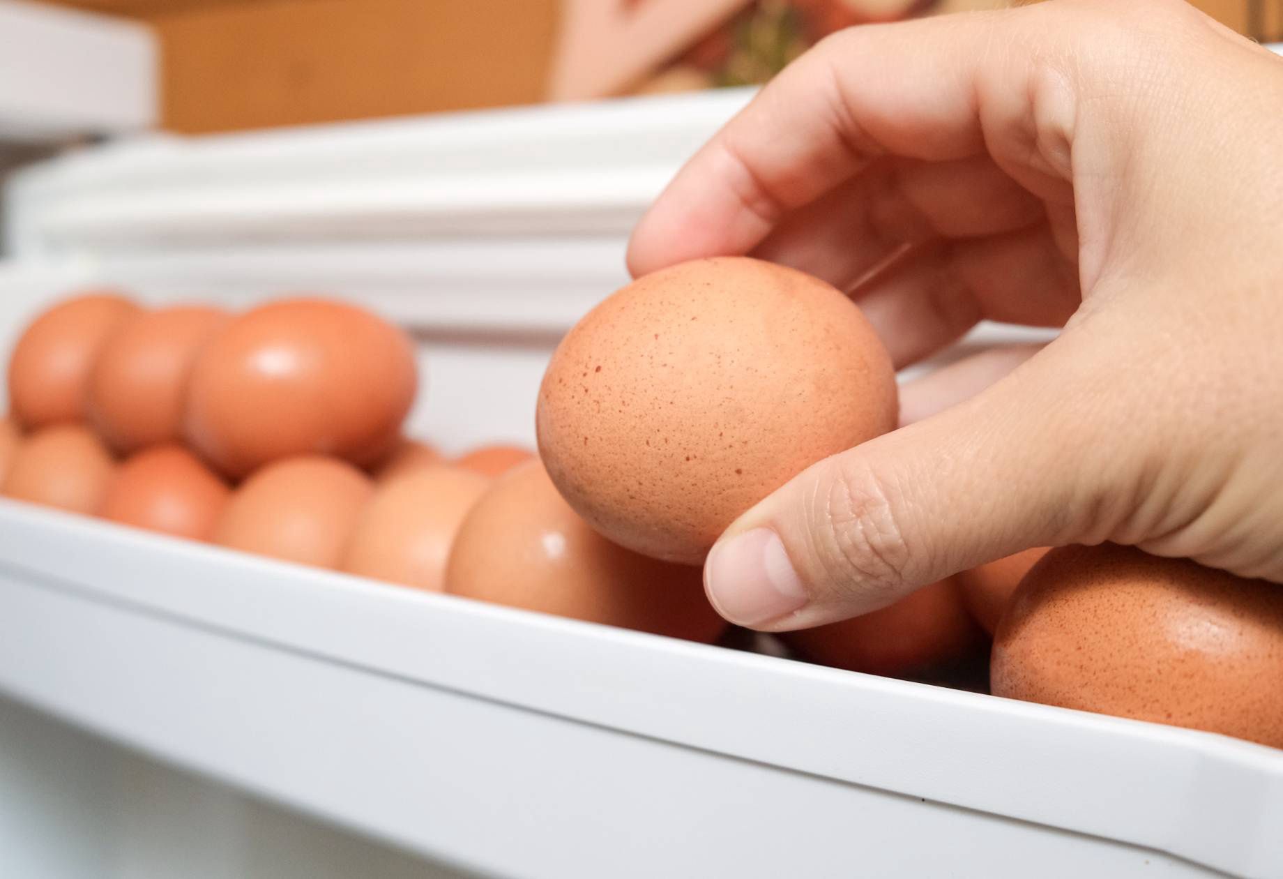 Debunking the egg myth: Why they're back on the menu
