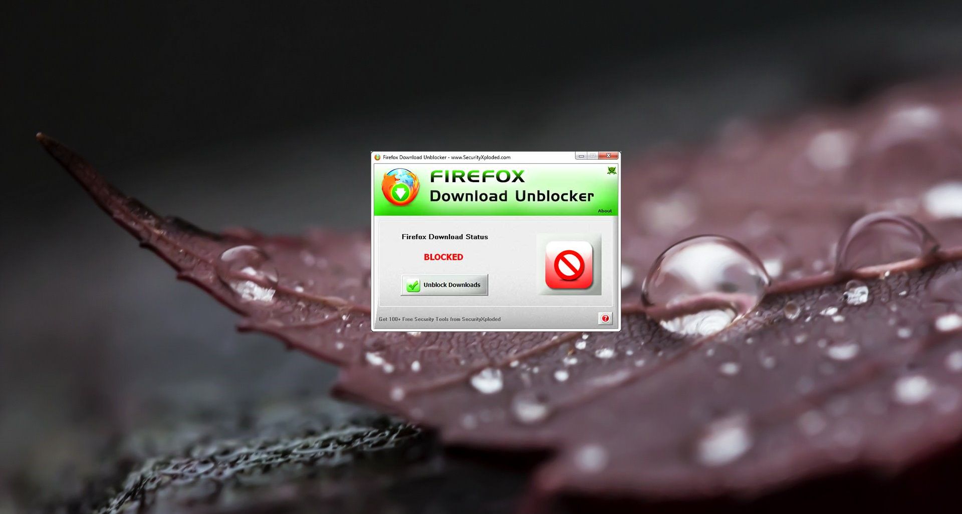 Firefox Download Unblocker 6.0 - dobreprogramy