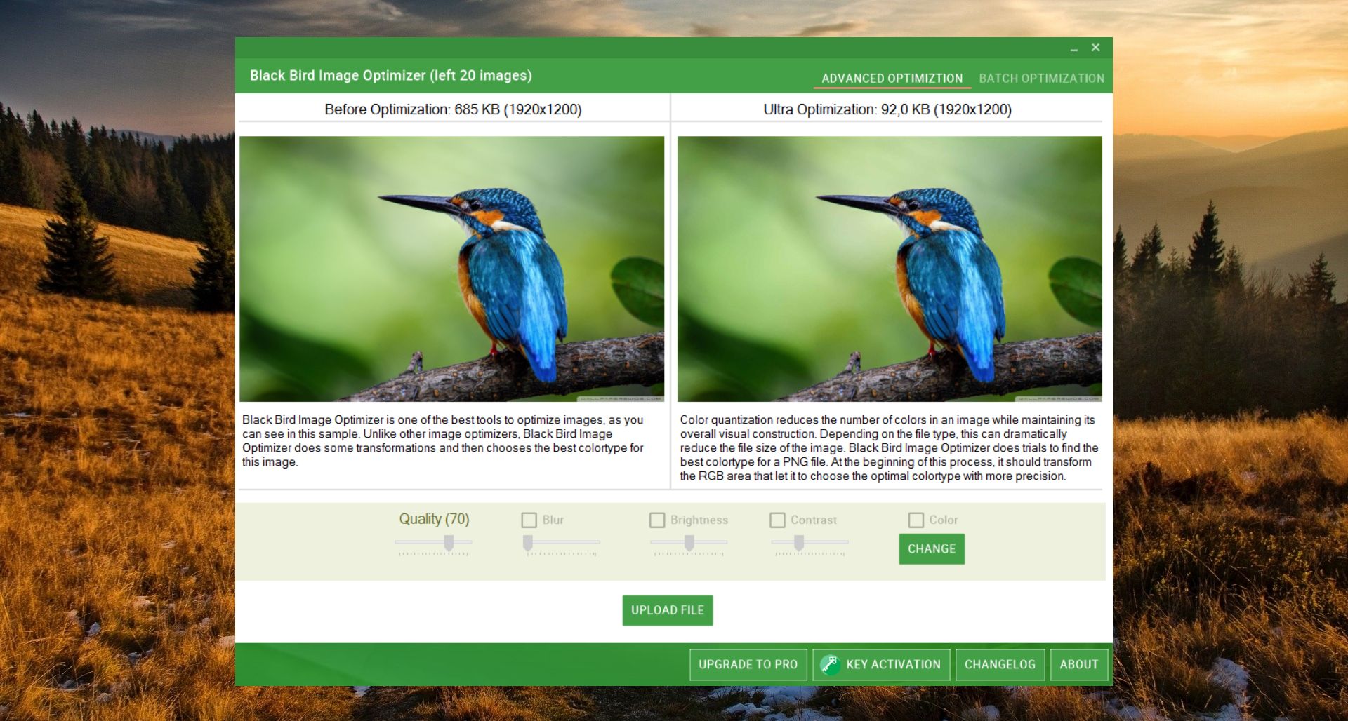 Black Bird Image Optimizer 1.0.3.1 - dobreprogramy