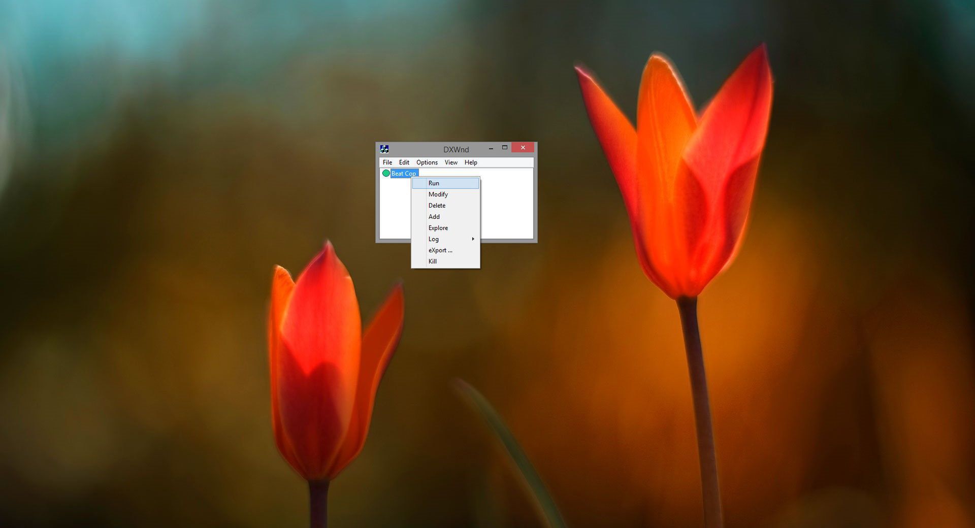 DXWnd 2.05.87 - dobreprogramy